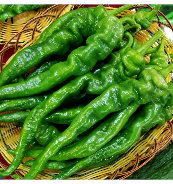 China Screw Green Pepper 400g – Miss A's Handpick Fine Food